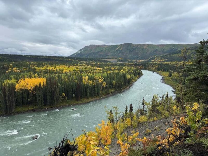Denali: Nenana River Trail Guided Hike with Pickup - Final Thoughts