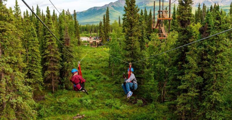 Denali Park Zipline Adventure - Exploring the Denali Park Zipline Adventure: A Thrilling Wilderness Experience