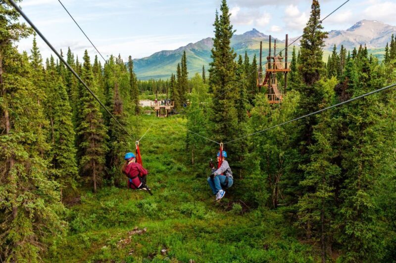 Denali Park Zipline Adventure - Introduction: An Easy Choice for Adventure and Scenery