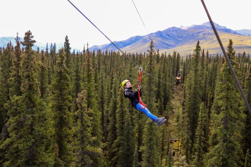 Denali Park Zipline Adventure - What the Experience Looks Like: From Start to Finish