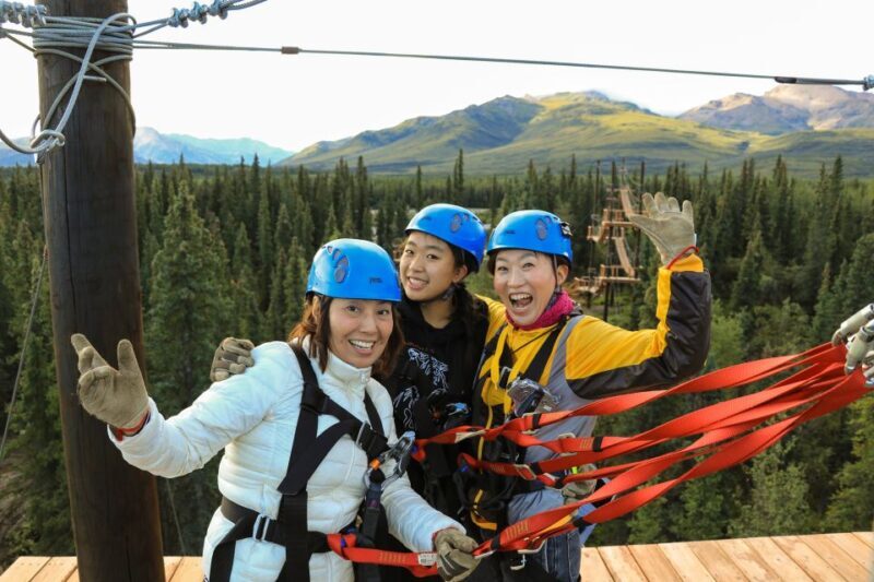 Denali Park Zipline Adventure - Practical Details and Value