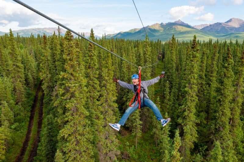 Denali Park Zipline Adventure - Authentic Experiences from Fellow Travelers