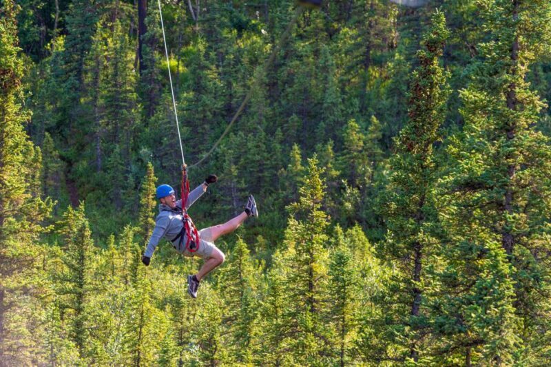 Denali Park Zipline Adventure - Final Word: Who Should Consider This Tour