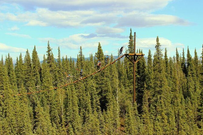 Denali Park Zipline Adventure - Key Points