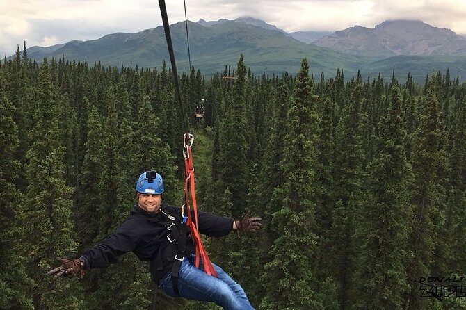 Denali Park Zipline Adventure - Why It Offers Great Value