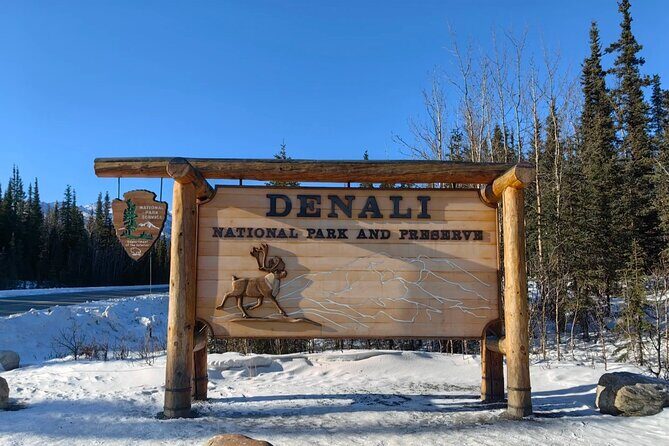Denali Summer Winter Trial Shuttle with Professional Camera - The Itinerary: What You Can Expect