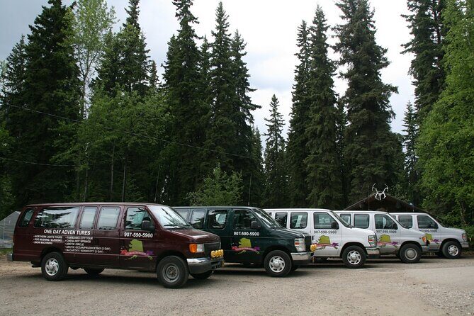 Denali to Fairbanks Shuttle Service - Exploring the Denali to Fairbanks Shuttle Service: A Practical and Comfortable Option