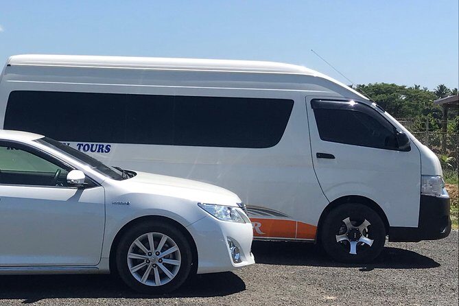 Denarau Hotels to Nadi Airport (Private Departure Transfer) - What Makes This Transfer Stand Out?