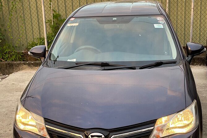 Denarau Hotels to Nadi Airport (Private Transfer) - Who Will Appreciate This Service?