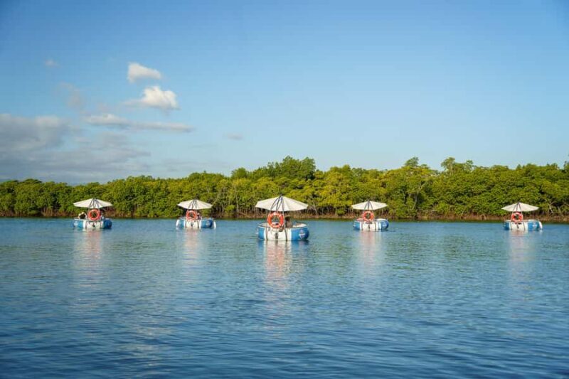 Denarau: Self Drive BBQ eBoat Cruise with Onboard BBQ Fiji - Authentic Reviews and Guest Perspectives