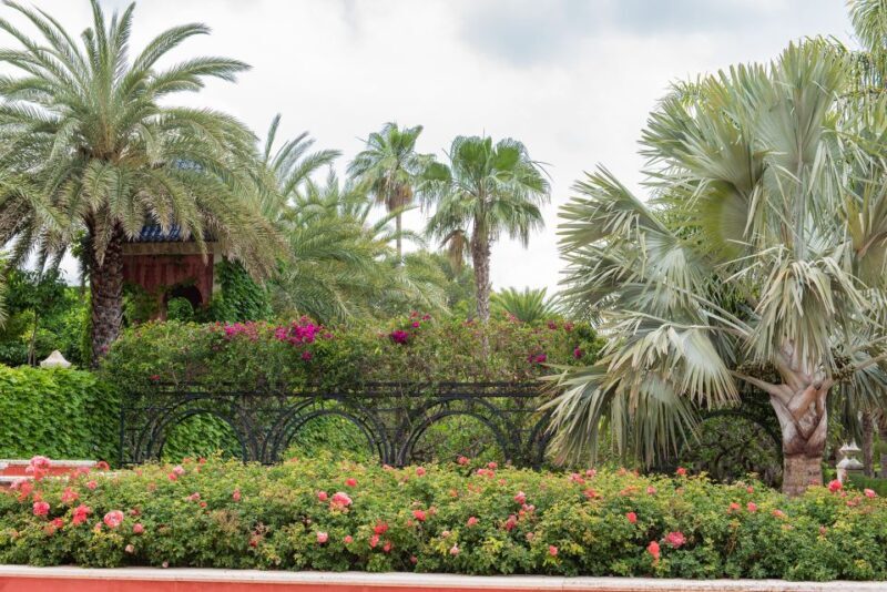 Denia: L'Albarda Garden Entry Ticket - Authentic Experiences and Visitor Insights