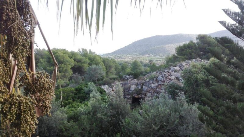 Denia: L'Albarda Garden Entry Ticket - The Bottom Line: Who Is This Garden For?