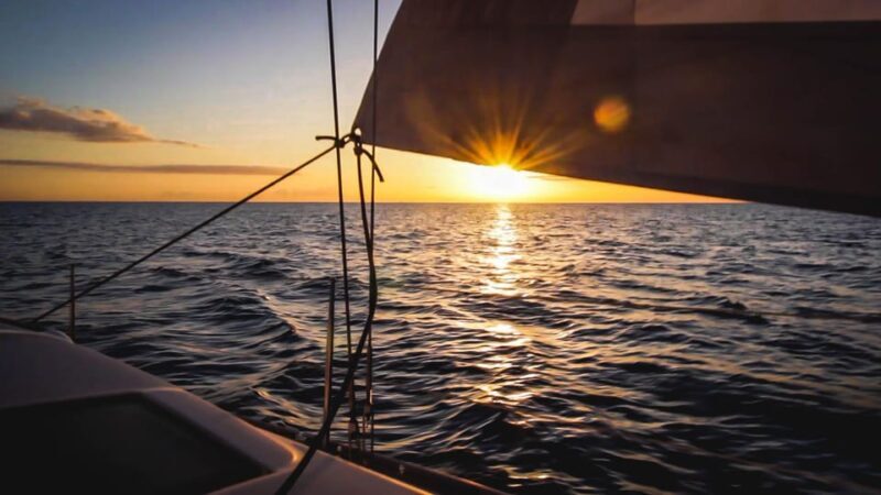 Denia: Sunset Electric Sailboat Cruise with Dolphin Spotting - The Value of the Experience