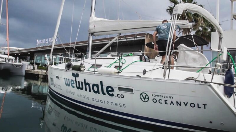 Denia: Sunset Electric Sailboat Cruise with Dolphin Spotting - Who Will Enjoy This Tour?
