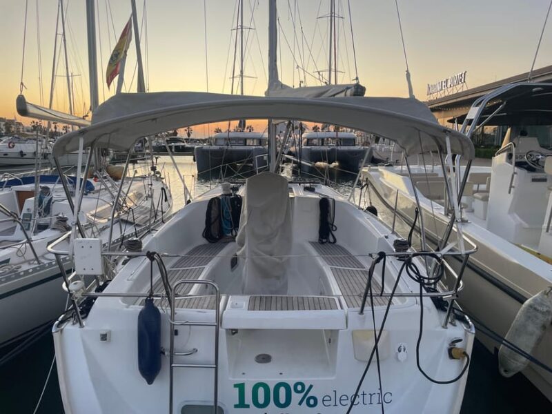 Denia: Whale and Dolphin Watching Morning Experience - An In-Depth Look at What to Expect During the Tour