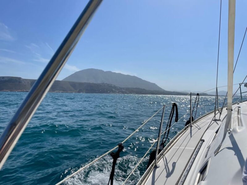 Denia: Whale and Dolphin Watching Morning Experience - Who Should Consider This Tour?