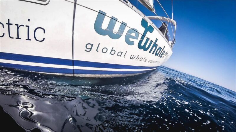 Denia: Whale and Dolphin Watching Morning Experience - Final Words: Is It Worth It?