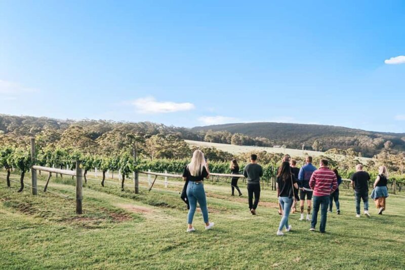 Denmark: A Sense of Place Singlefile Wines Tour & Tasting - An In-Depth Look at the Experience