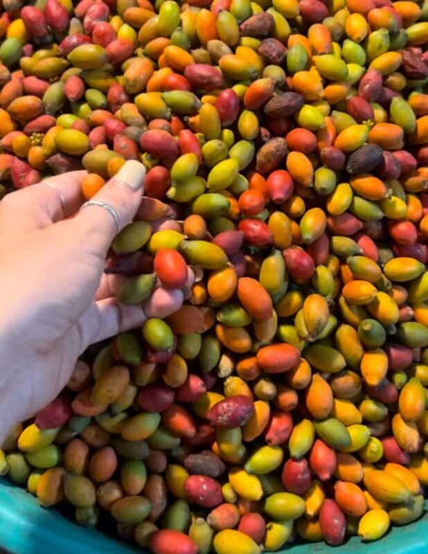 Denpasar Night Market Food Tour - Final Thoughts