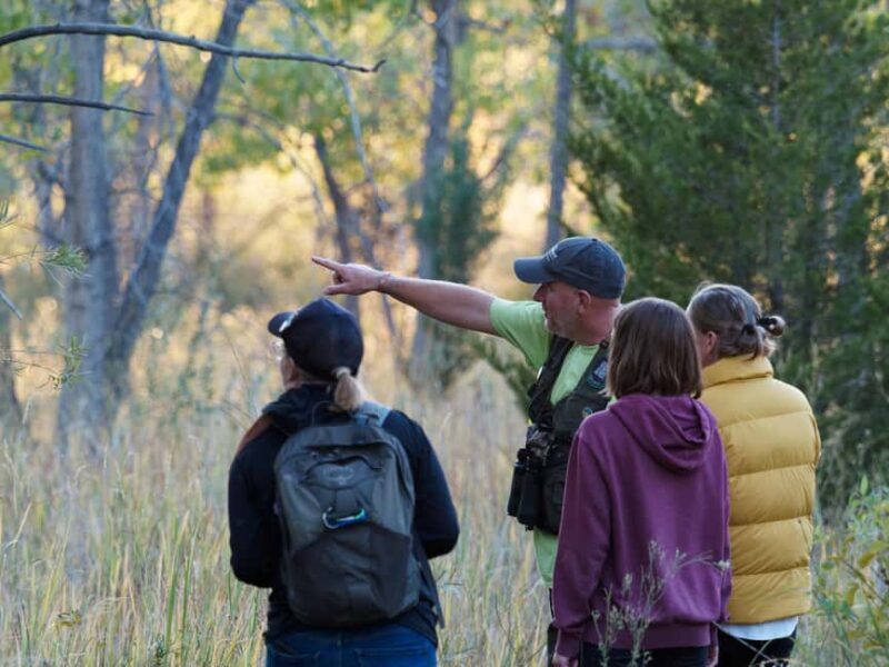 Denver: Birding Basics and Beyond - What Makes this Tour Stand Out
