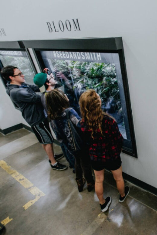 Denver: Buds & Brews Cannabis Grow Tour and Brewery Visit - Introduction