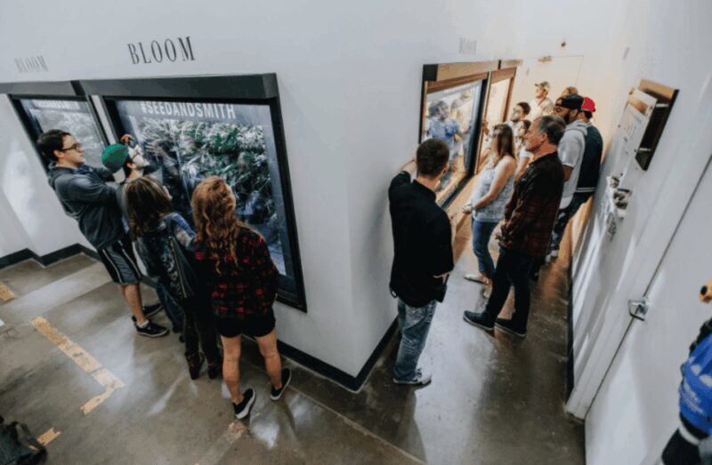 Denver: Buds & Brews Cannabis Grow Tour and Brewery Visit - Final Thoughts