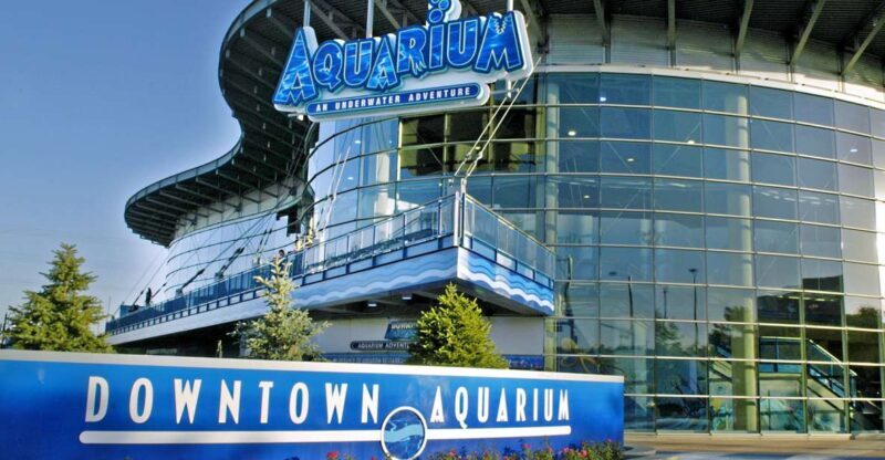 Denver: Downtown Aquarium All-Day Pass - Key Points