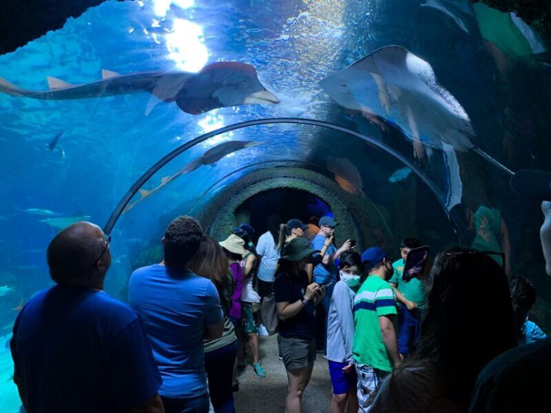 Denver: Downtown Aquarium All-Day Pass - A Walkthrough of the Denver Downtown Aquarium Experience