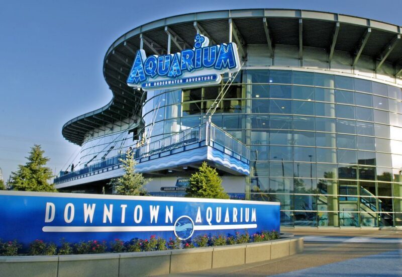 Denver: Downtown Aquarium All-Day Pass - Authentic Experiences from Visitors