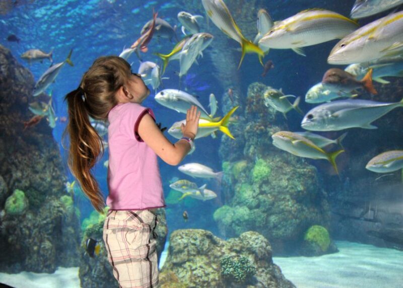 Denver: Downtown Aquarium All-Day Pass - Practical Tips for Visitors