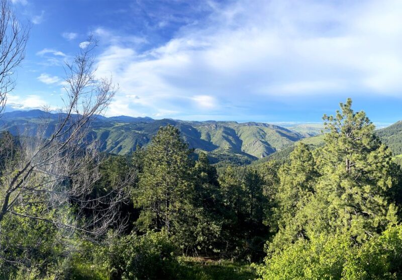 Denver: Get High on a Mountain Tour with Sunset Views - Authentic Experiences Backed by Reviews