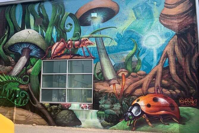 Denver Graffiti North RiNo Tour - An In-Depth Look at the Denver Graffiti North RiNo Tour