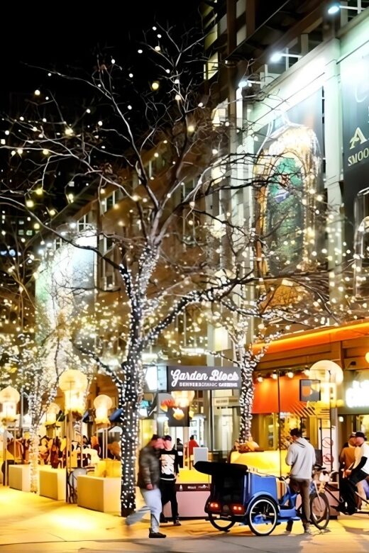 Denver: Holiday Lights & Sights Bus Tour - Practical Tips for a Great Experience