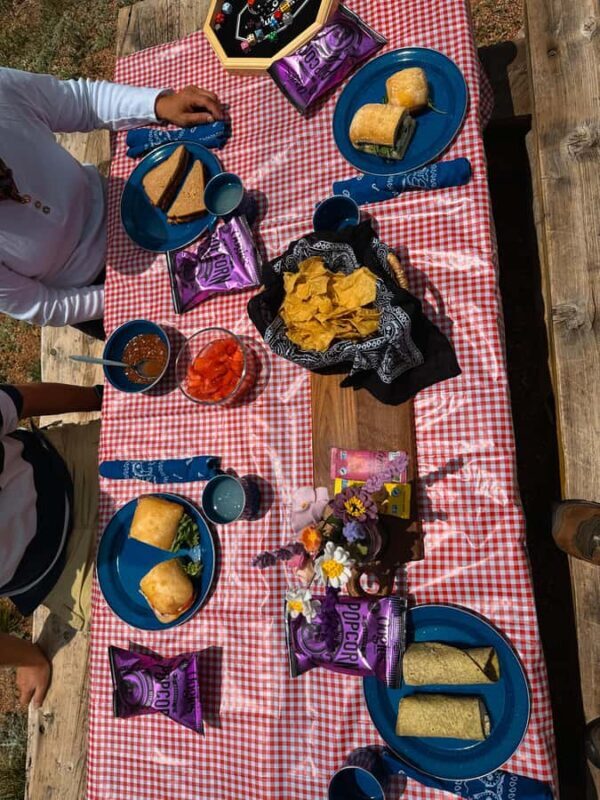 Denver: Llama Lunch in the Rocky Mountains - Key Points