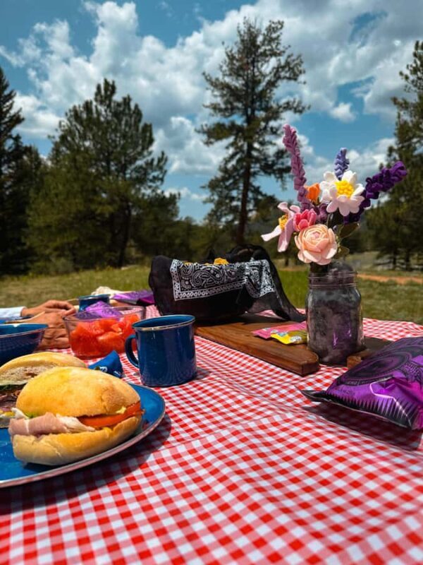 Denver: Llama Lunch in the Rocky Mountains - Exploring the Rocky Mountains with Llamas