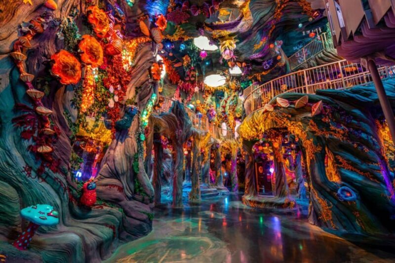 Denver: Meow Wolf Convergence Station Ticket - The Sum Up