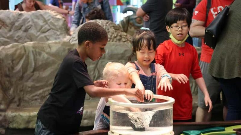 Denver: Museum of Nature and Science Entry Ticket - Who Will Love This Experience?