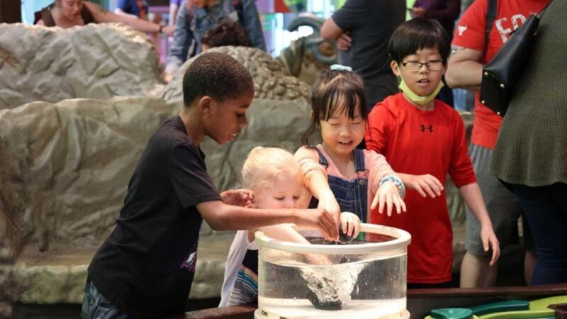 Denver: Museum of Nature and Science Entry Ticket - What About the Extra Costs?