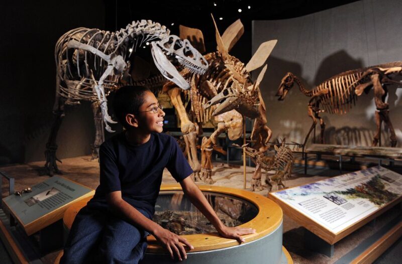 Denver: Museum of Nature and Science Entry Ticket - Authentic Visitor Experiences