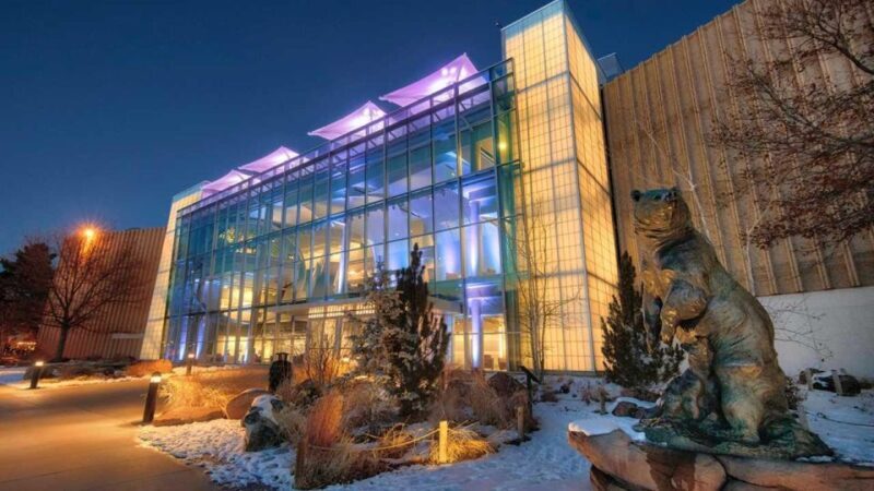 Denver: Museum of Nature and Science Entry Ticket - Final Thoughts