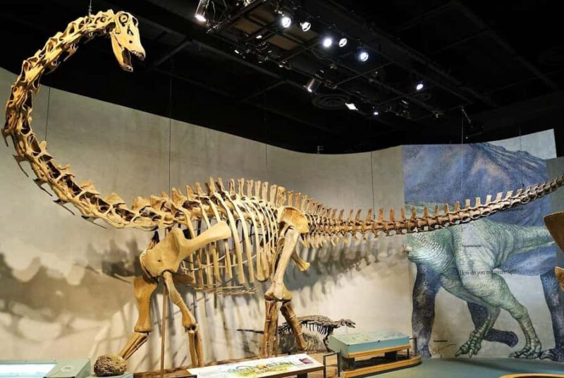 Denver: Museum of Nature and Science Ticket & Digital Tour - Inside the Denver Museum of Nature & Science