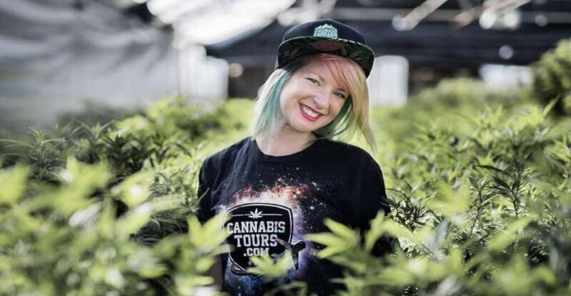 Denver: Private Luxury Cannabis Tour - Introduction