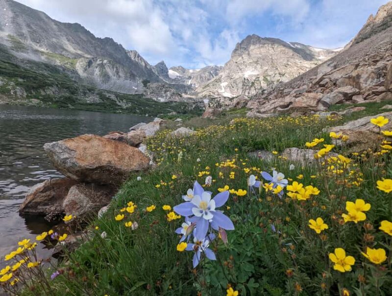 Denver: Private Rocky Mountain National Park Wildlife Tour - Key Points