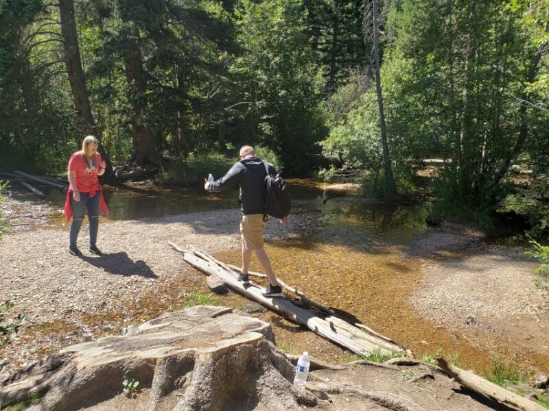 Denver: Rocky Mountain National Park Tour with Picnic Lunch - The Guides: What Sets Them Apart