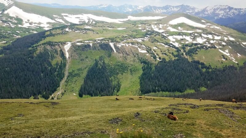 Denver: Rocky Mountain National Park Tour with Picnic Lunch - Who Should Consider This Tour?