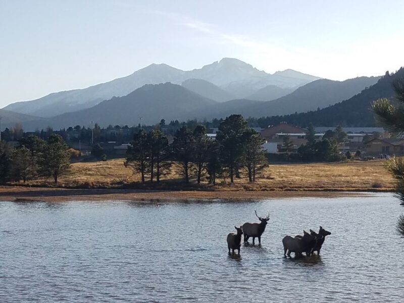 Denver: Rocky Mountain National Park Tour with Picnic Lunch - The Sum Up: Is This Tour Right for You?
