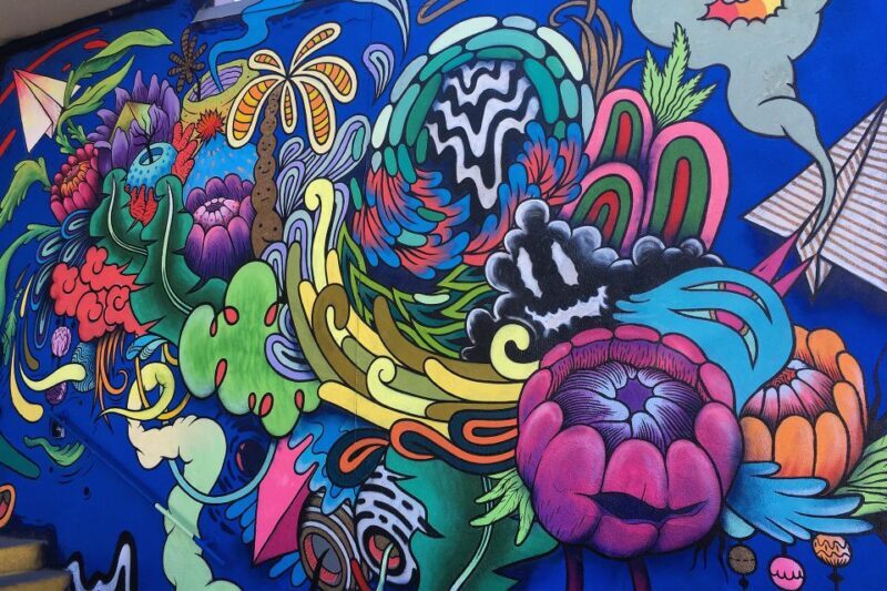 Denver: Street Art, Murals, and Graffiti Walking Tour - An In-Depth Look at the Experience