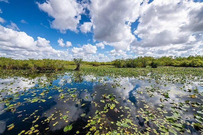 Depart from Miami to discover the Everglades with Airboat tour included! - The Experience: A Deep Dive into the Everglades Tour