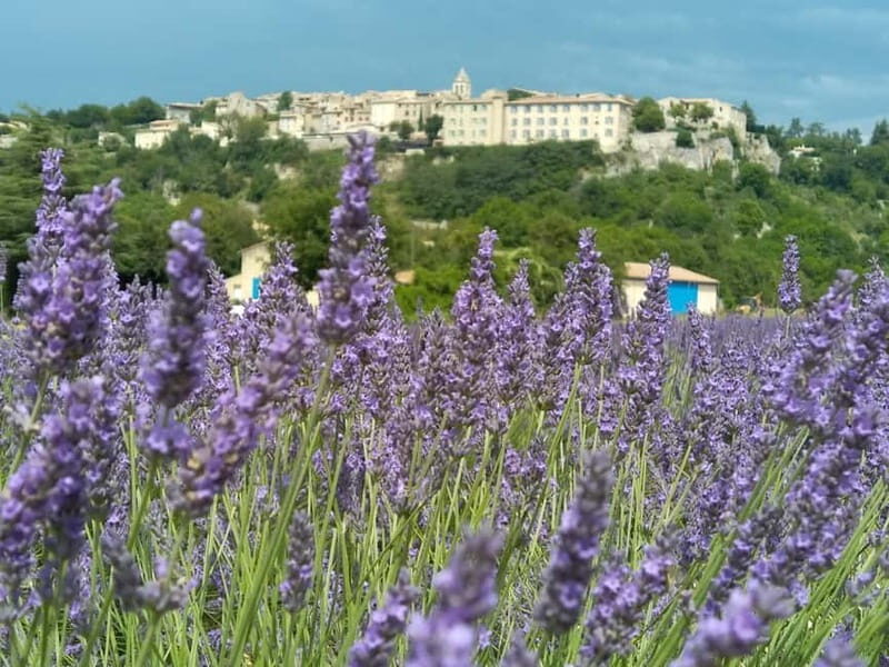 departing from Avignon, Classic lavender tour - Final Thoughts: Is It Worth It?