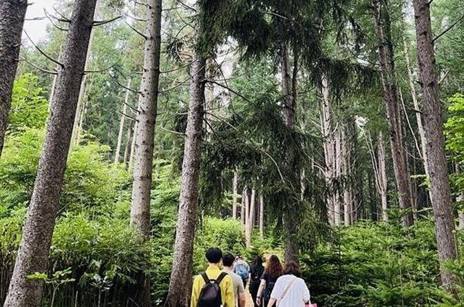 Departing from/ Returning to SapporoLake Toya Premium Tour 2days - FAQs